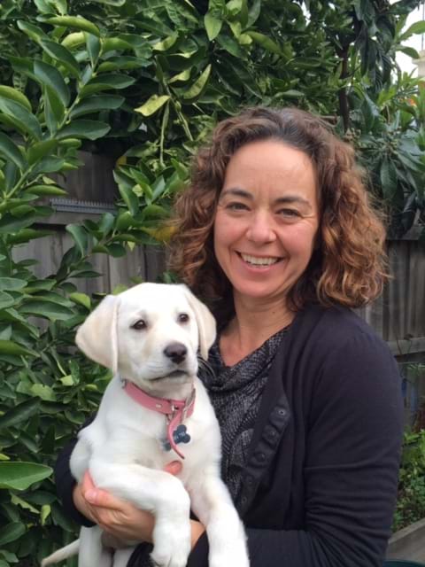 Hawthorn Veterinary Clinic | Our Team | Vets near me